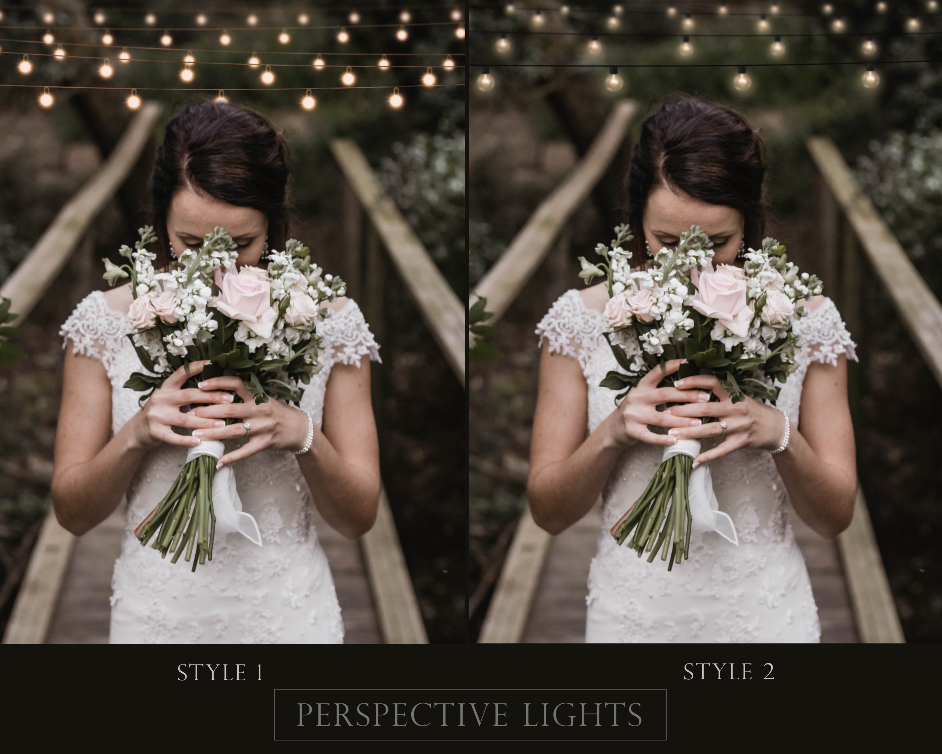 String Lights Overlay Fairy Lights Christmas Lights - Etsy Canada