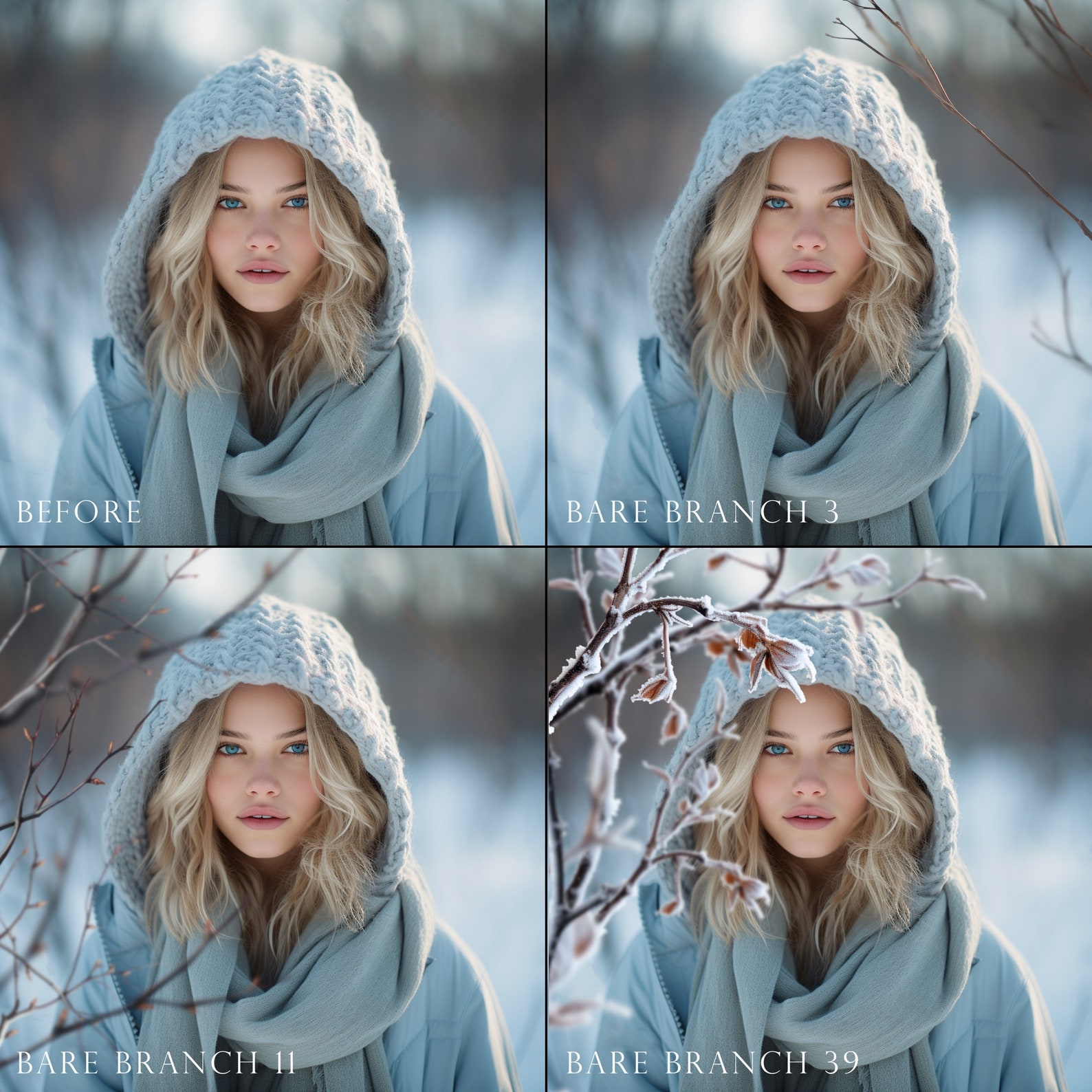 Branch Photoshop Overlays, Bare Branch Overlays, Winter Branch Overlay ...