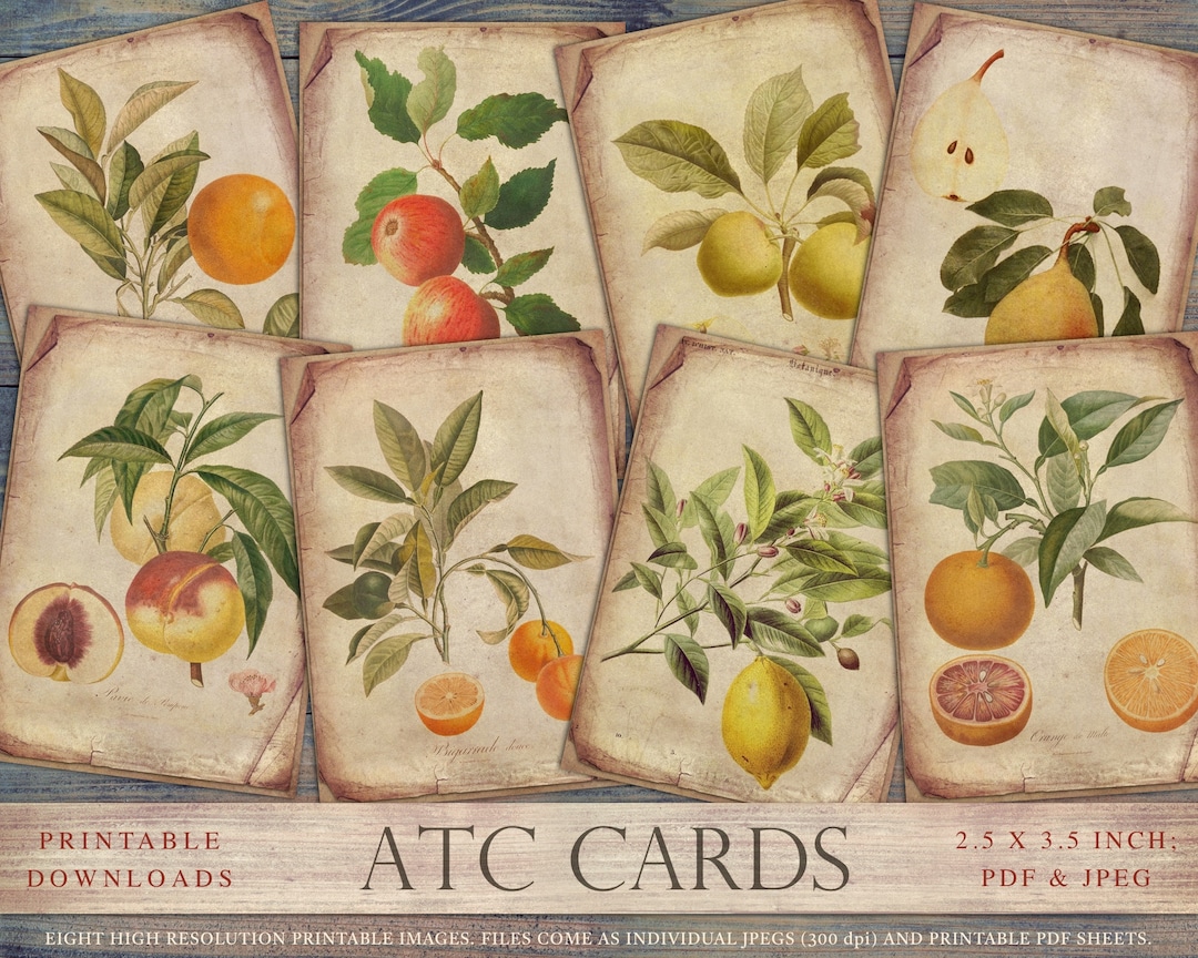 Fruit ATC Cards, Vintage Botanical, Citrus, Oranges, Lemons, Peach ...