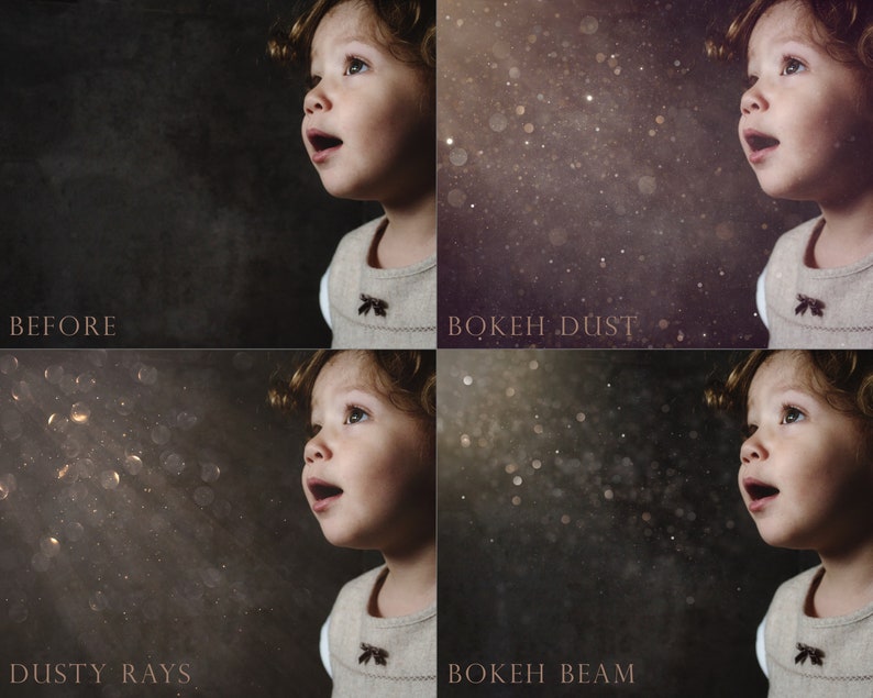Bokeh dust overlay glitter dust floating dust falling dust | Etsy