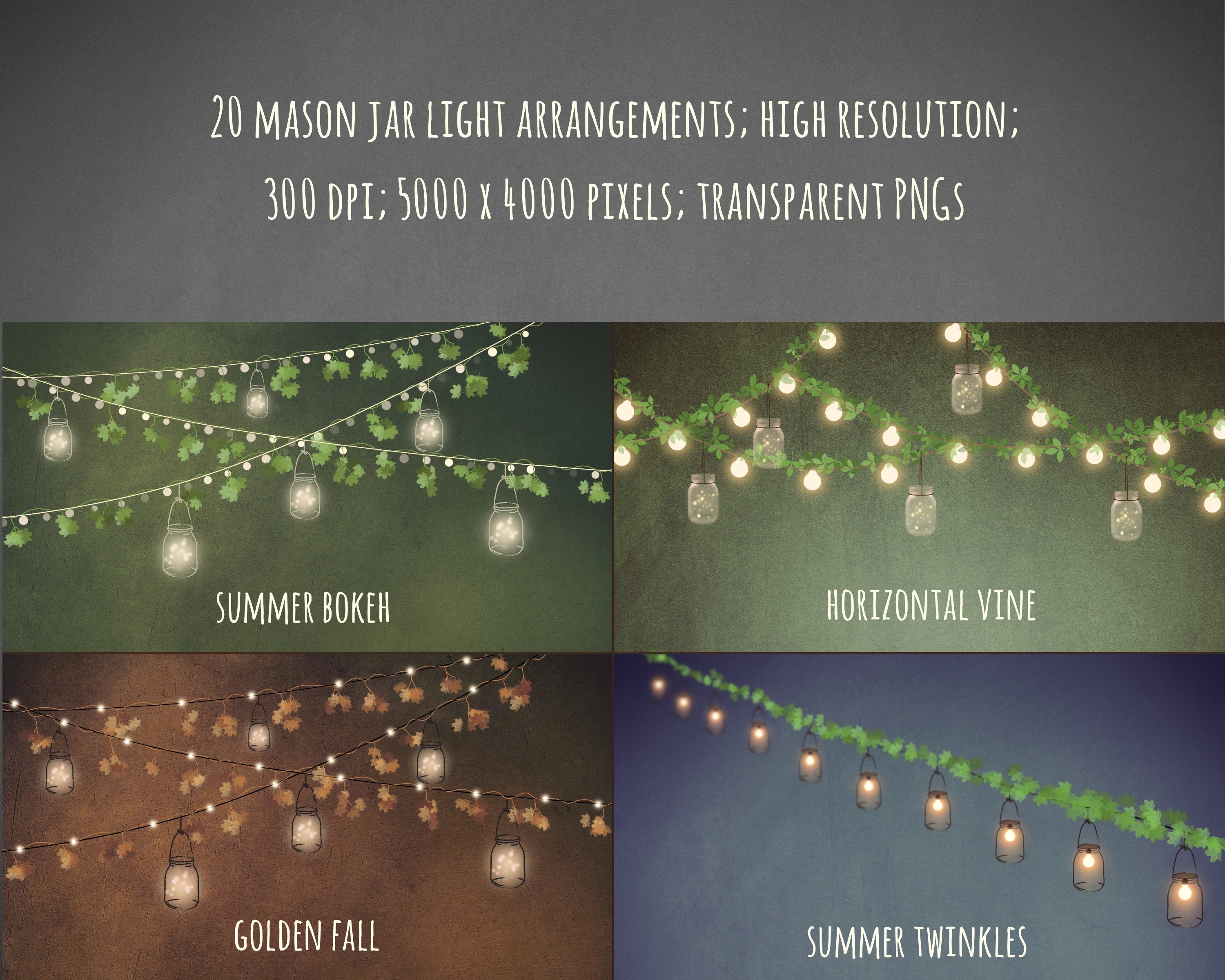 String Lights Clipart Mason Jars Overlays Vines Leaves - Etsy