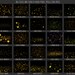 Firefly Bokeh, Bokeh Fireflies, Overlay, Overlays, Green Fireflies ...