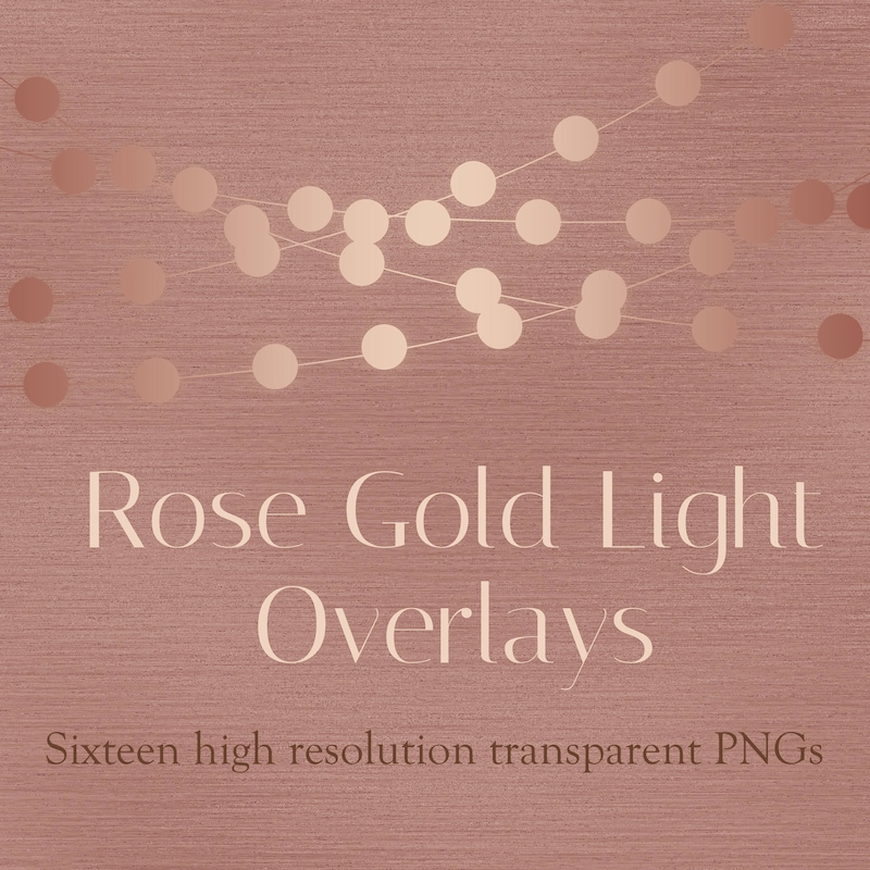 Rose String Lights - Etsy