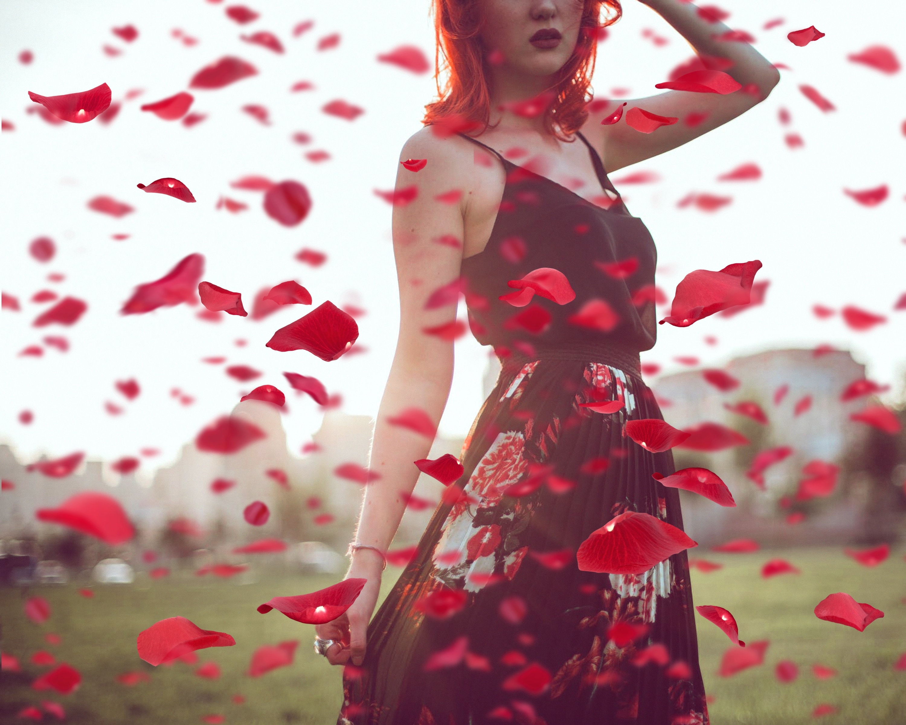 Rose Petal Overlays, Valentine Overlays, Photoshop Overlays, Falling ...