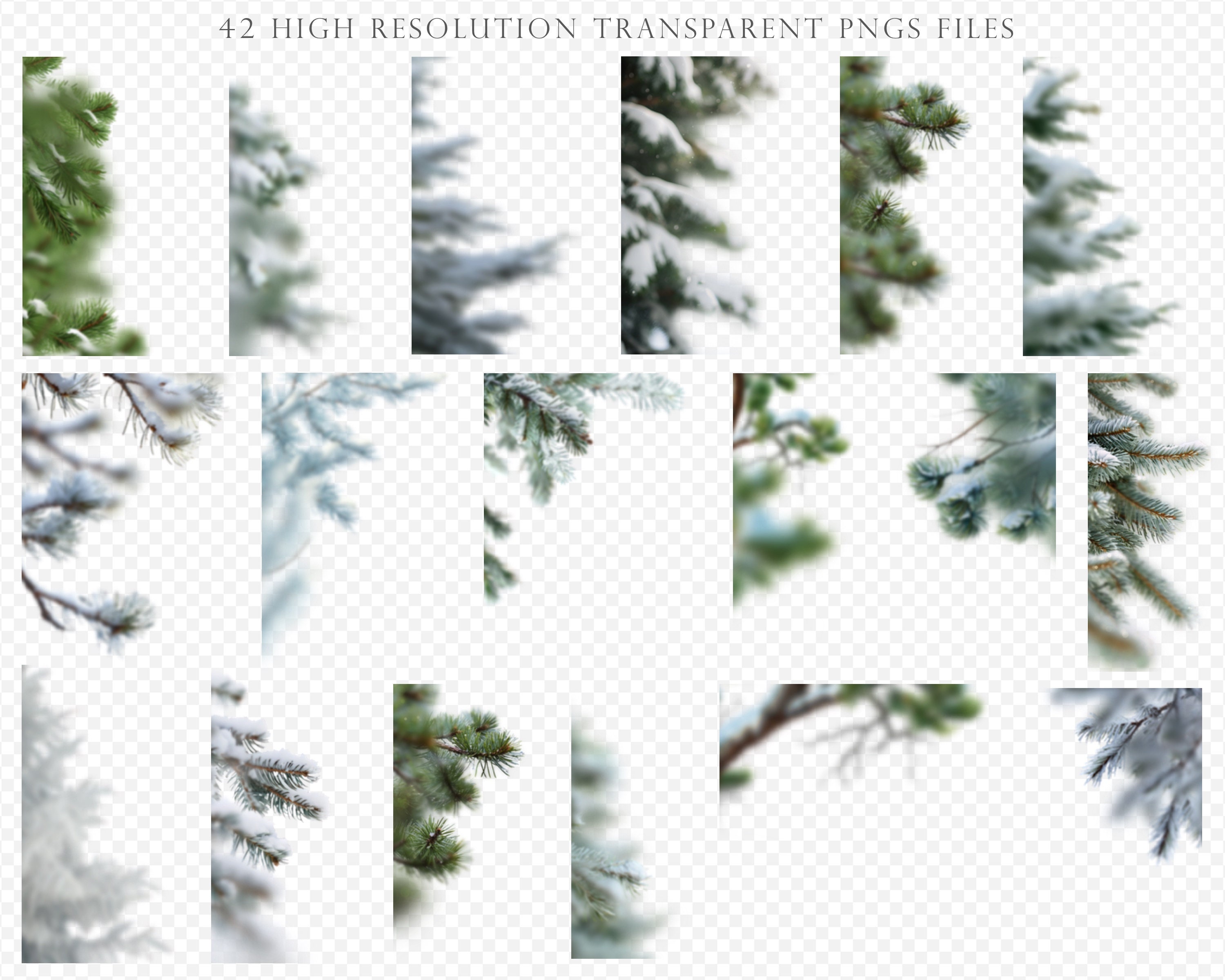 Winter Branch Overlays, Pine Branch Overlay, Christmas Overlay ...