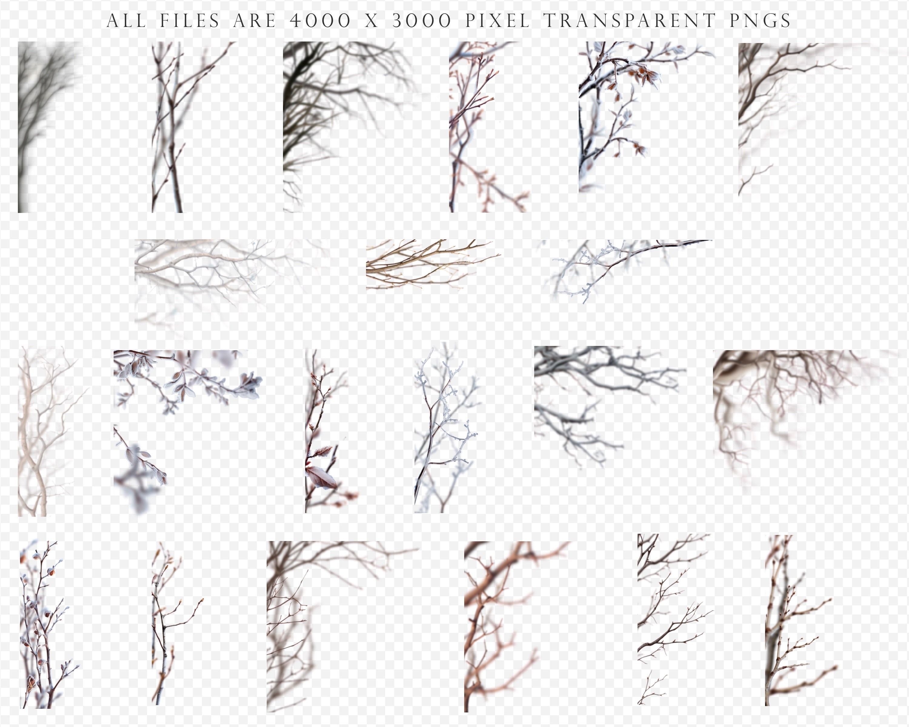 Branch Photoshop Overlays, Bare Branch Overlays, Winter Branch Overlay ...