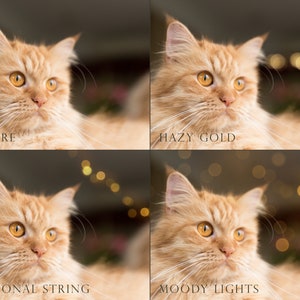 Simple Bokeh Overlays, Minimal Bokeh Overlays, Photoshop Overlays ...