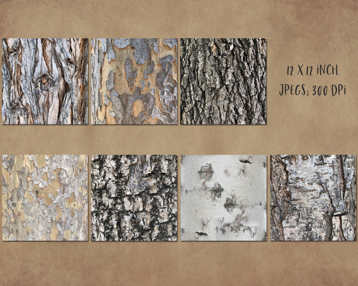 Tree Bark Textures Digital Backgrounds Digital Paper - Etsy