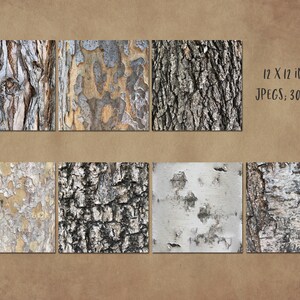 Tree Bark, Textures, Digital, Backgrounds, Digital Paper, Scrapbook ...