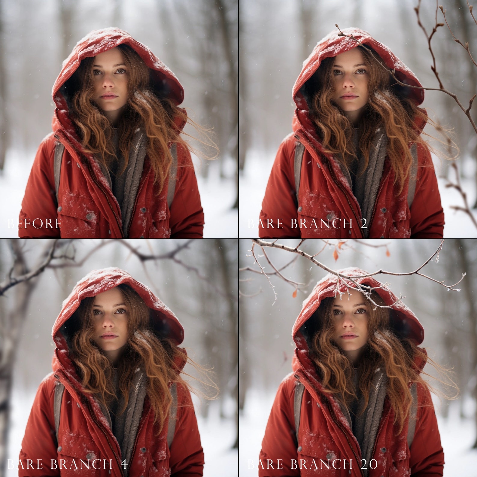 Branch Photoshop Overlays, Bare Branch Overlays, Winter Branch Overlay ...