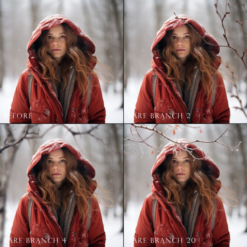Branch Photoshop Overlays, Bare Branch Overlays, Winter Branch Overlay ...