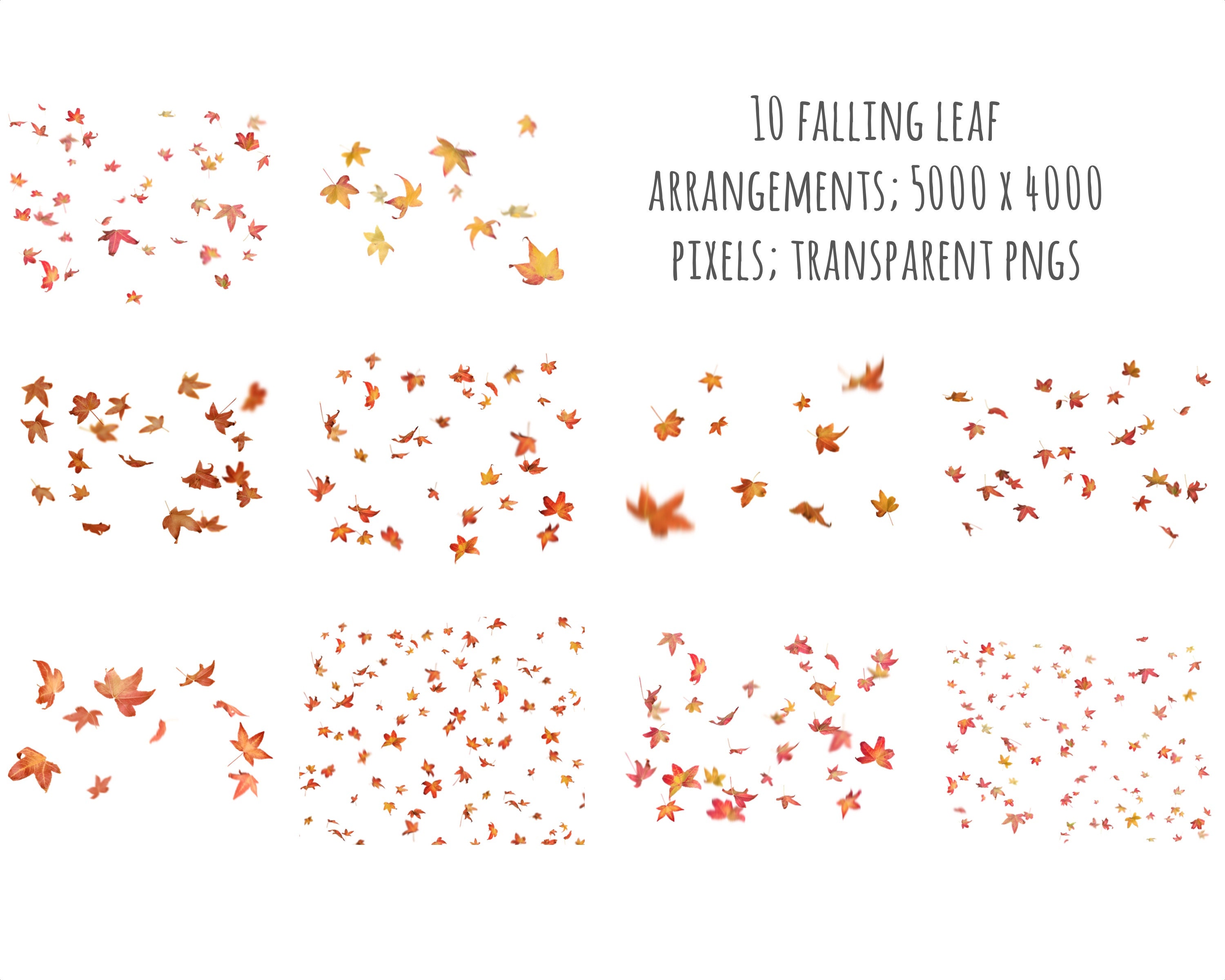 Falling leaves overlay falling leaf overlays fall leaves | Etsy