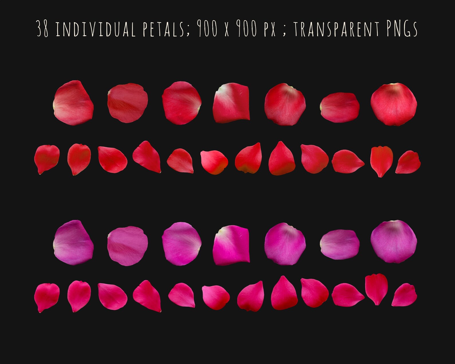 Rose Petal Overlays Valentine Overlays Photoshop Overlays - Etsy