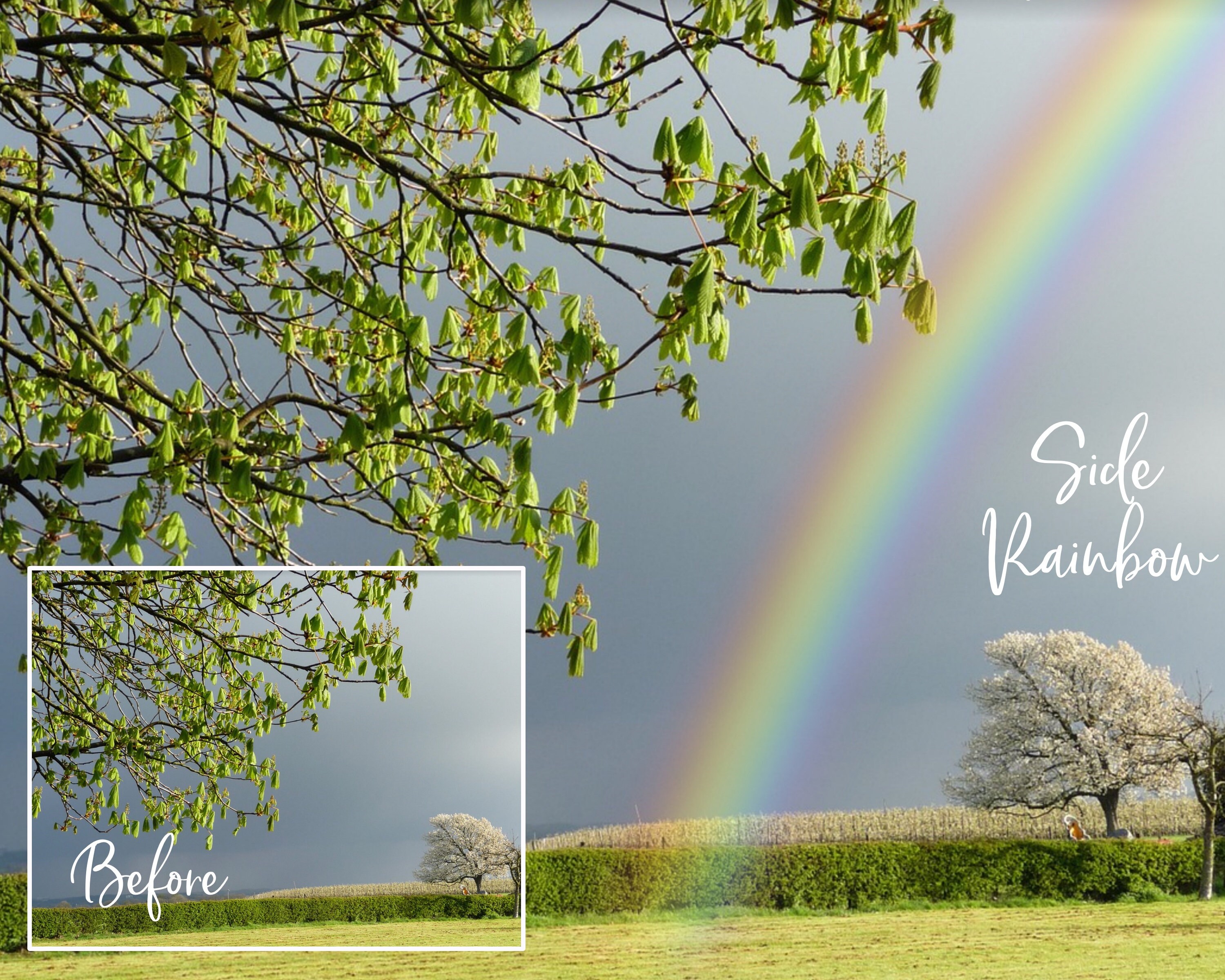 Rainbow Overlays Realistic Rainbow Overlays Photoshop | Etsy