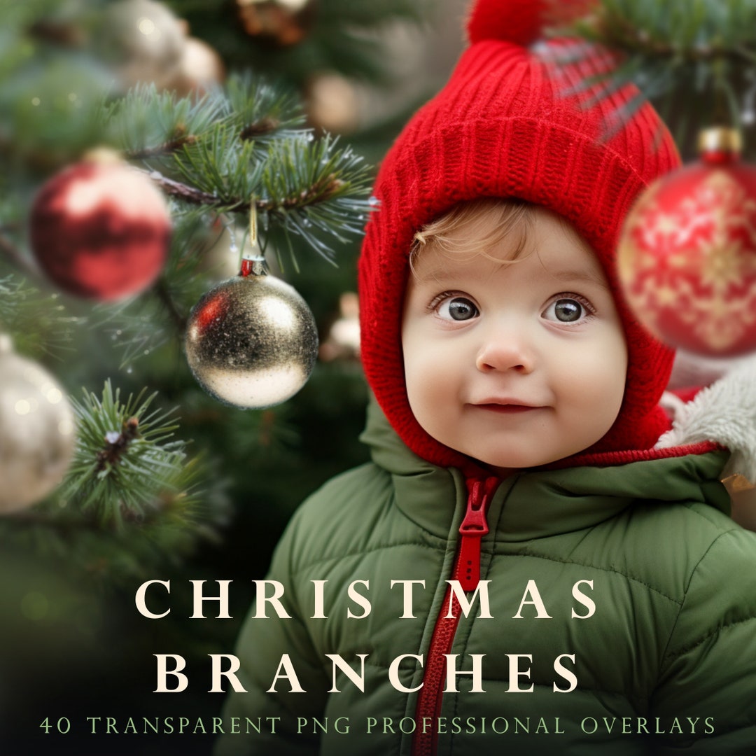 Christmas Tree Overlays, Christmas Branch Overlays, Christmas Tree Png ...