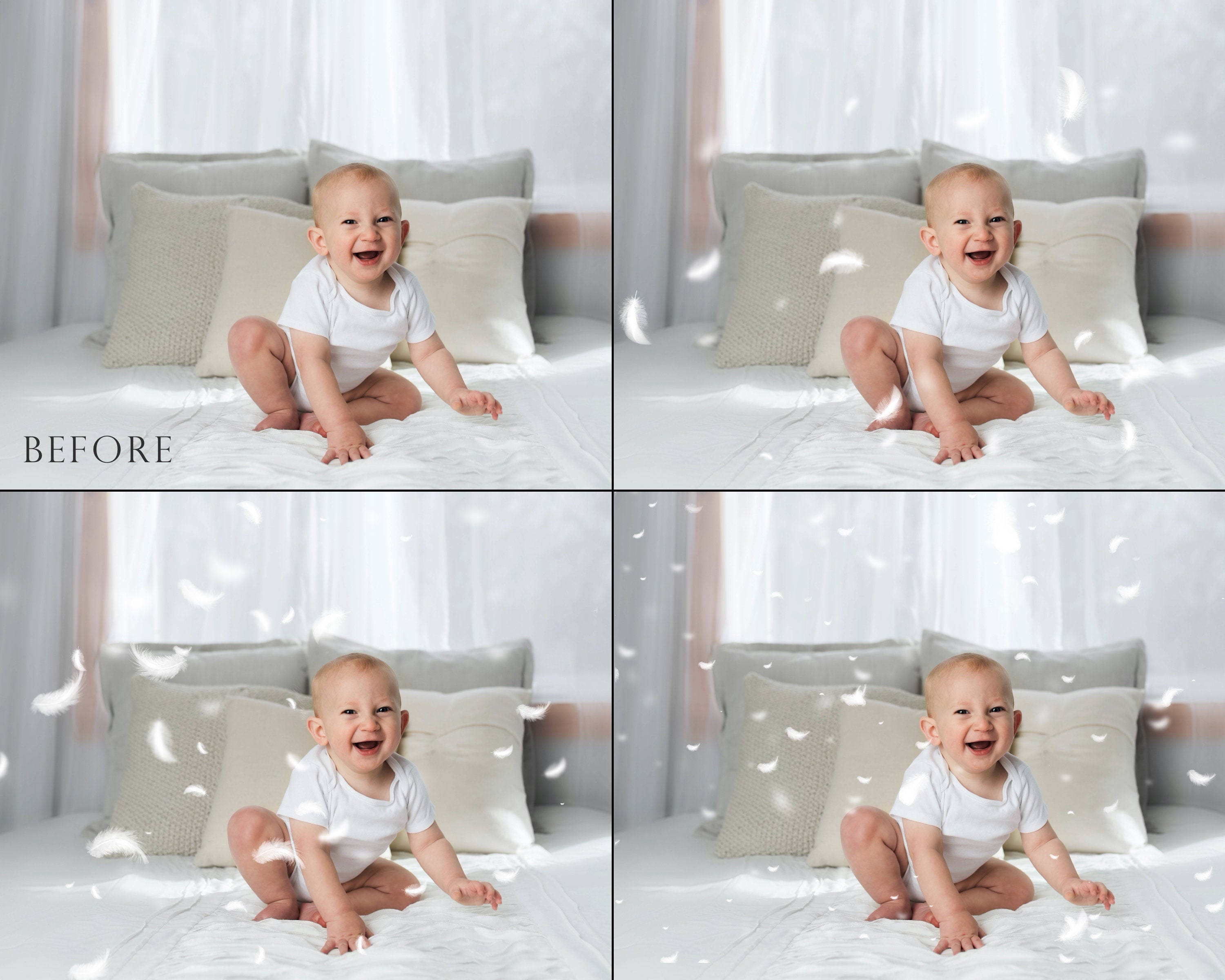 Falling Feather Overlays, Floating Feathers, Feathers, Pillow Fight ...