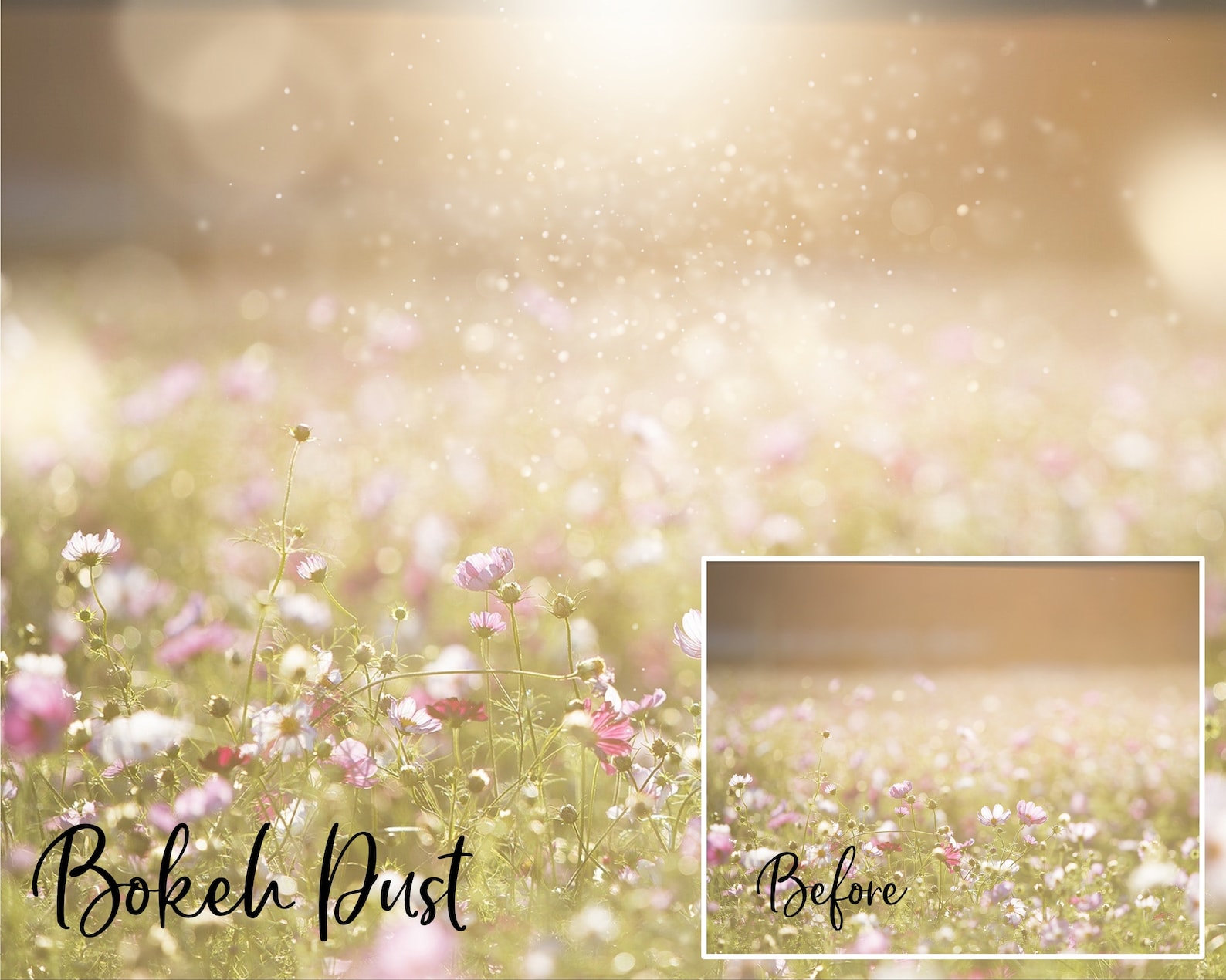 Sunlight Overlays, Photoshop Overlays, Sunbeams, Sunlight, Bokeh, Dust ...