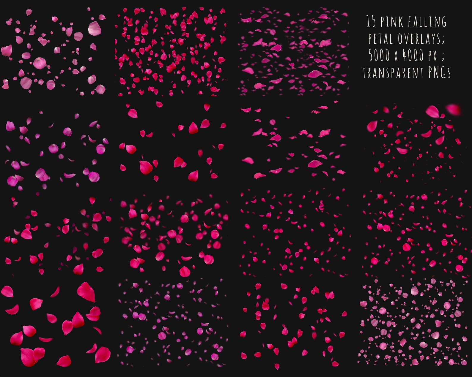 Rose Petal Overlays, Valentine Overlays, Photoshop Overlays, Falling ...