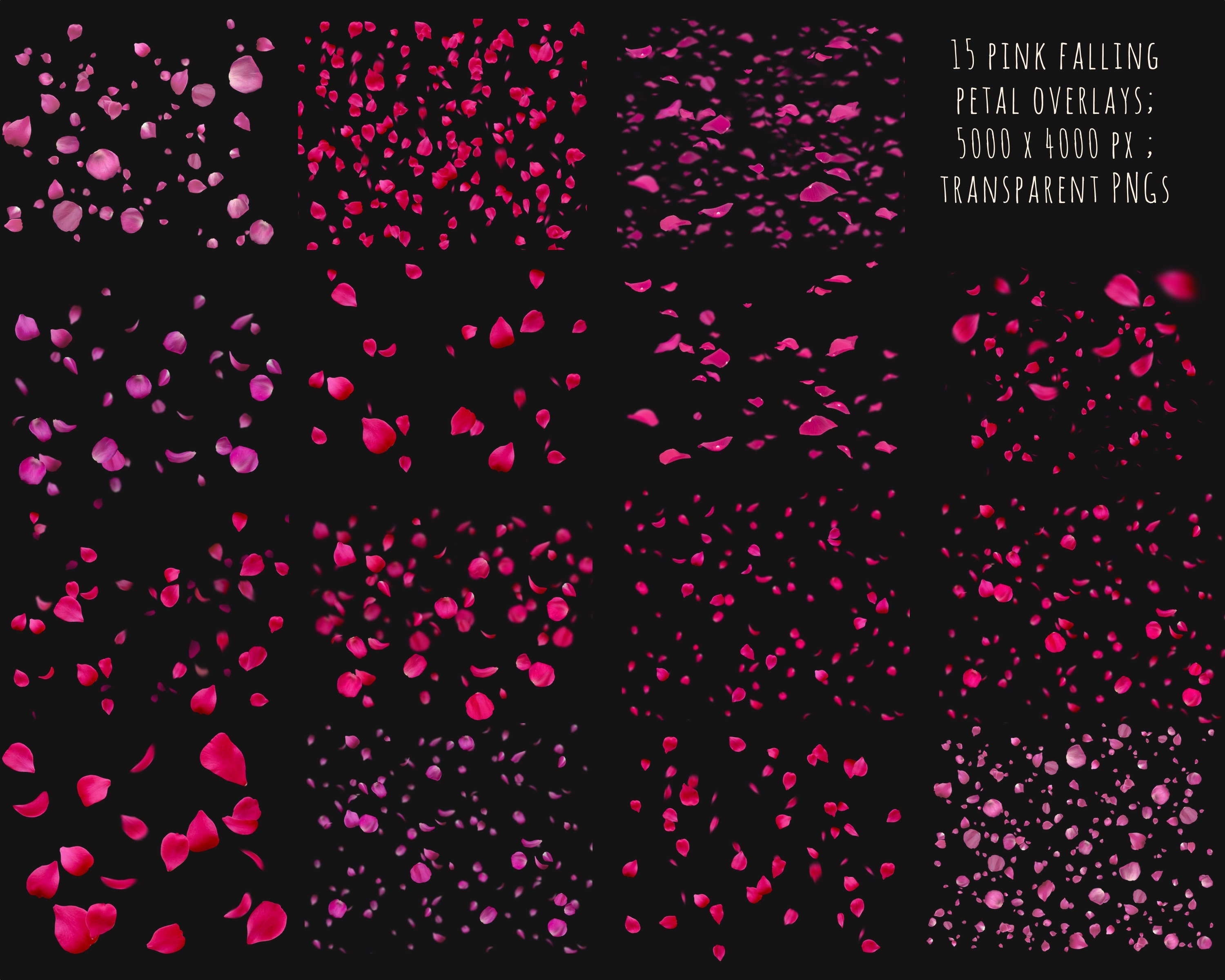 Rose Petal Overlays, Valentine Overlays, Photoshop Overlays, Falling ...