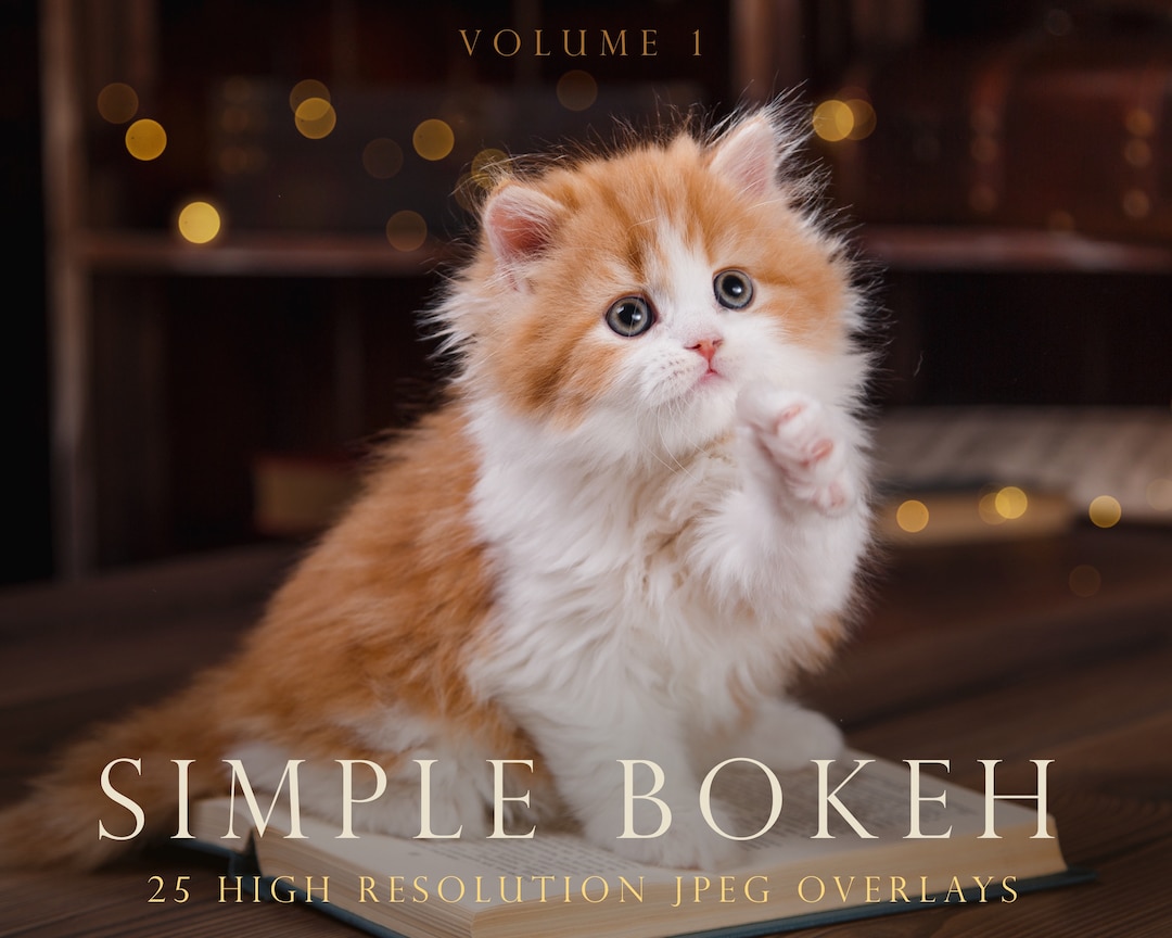 Simple Bokeh Overlays, Minimal Bokeh Overlays, Photoshop Overlays ...