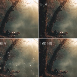 Dust Overlays, Floating Dust, Photoshop, Falling Dust, Cinematic Dust ...