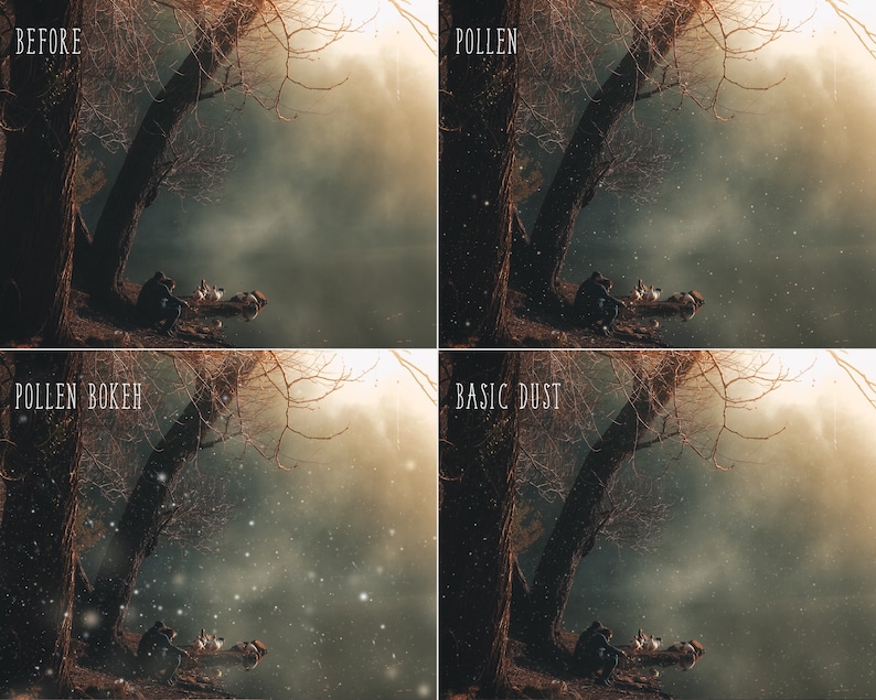 Dust Overlays Floating Dust Photoshop Falling Dust - Etsy