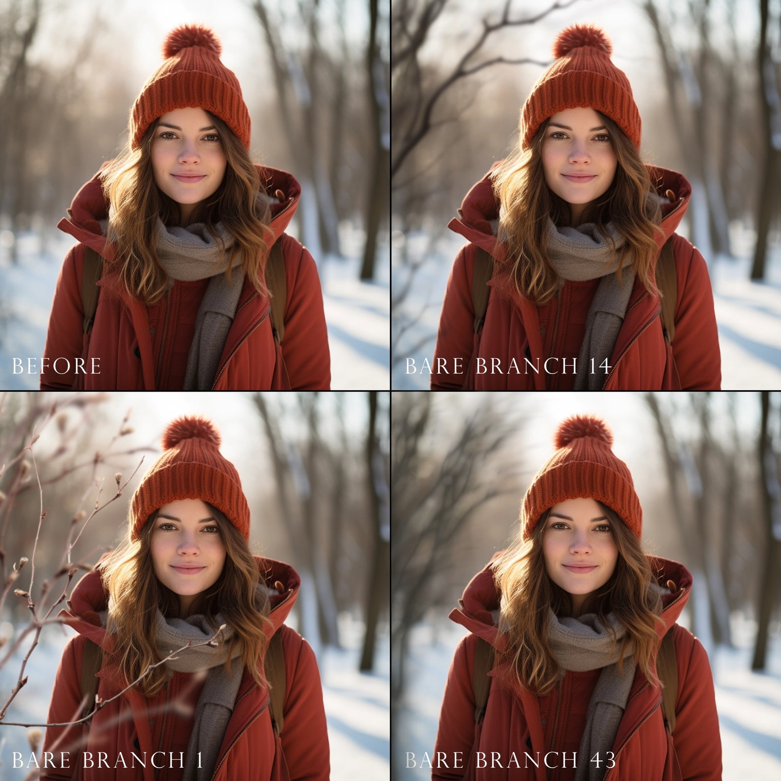Branch Photoshop Overlays, Bare Branch Overlays, Winter Branch Overlay ...
