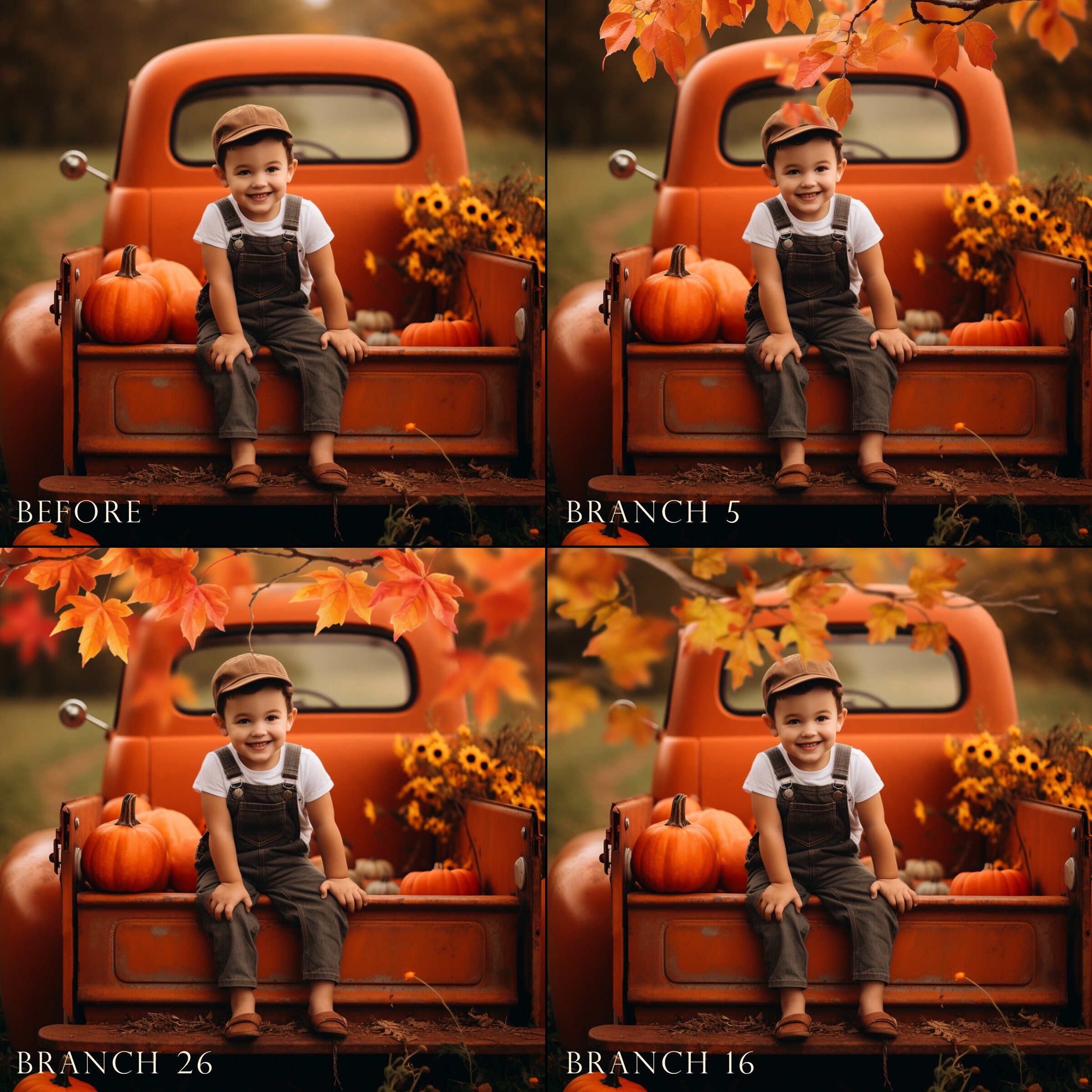 Fall Branch Overlays, Autumn Branch Overlays, Fall Branch Overlay, Fall ...