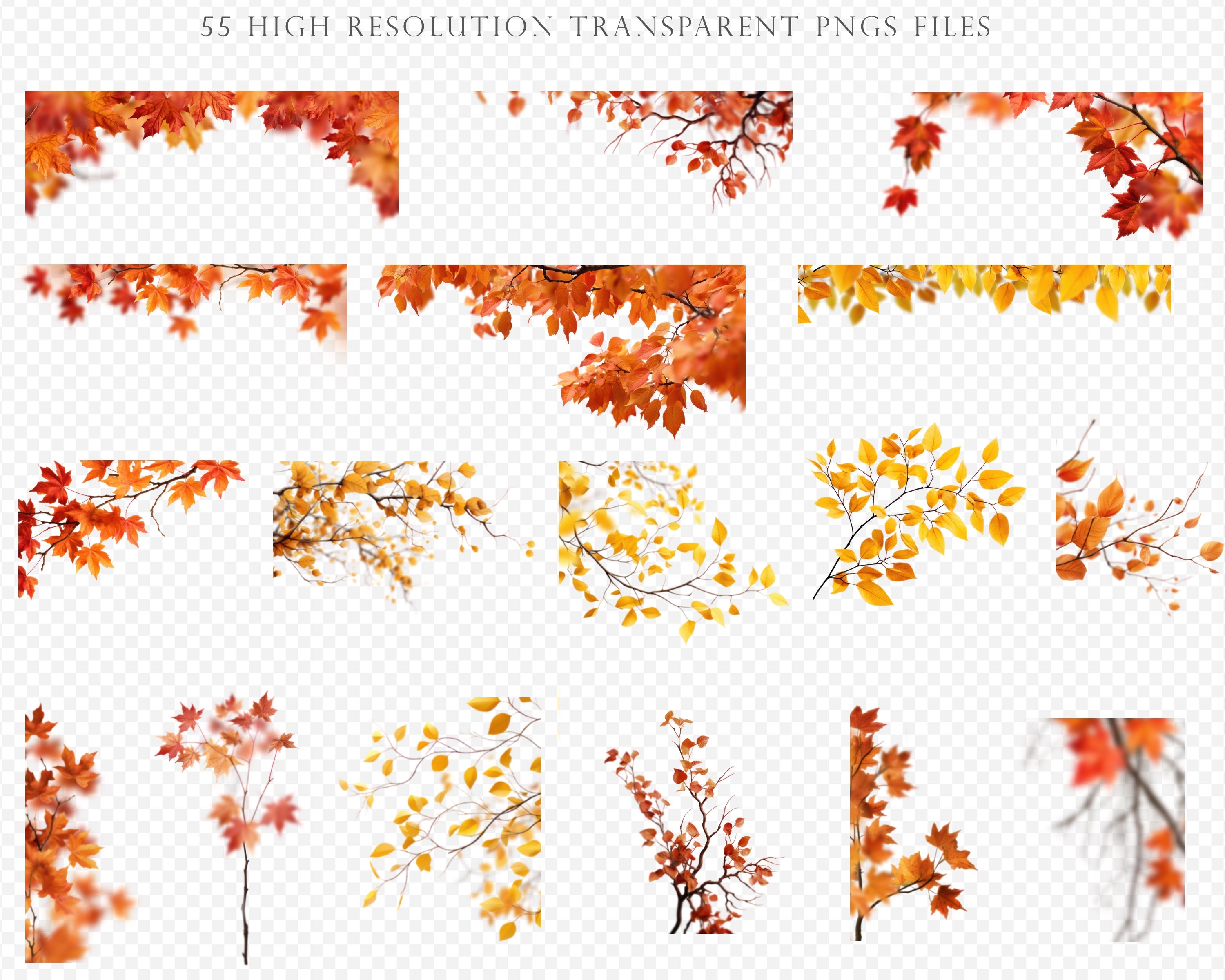 Fall Branch Overlays, Autumn Branch Overlays, Fall Branch Overlay, Fall ...