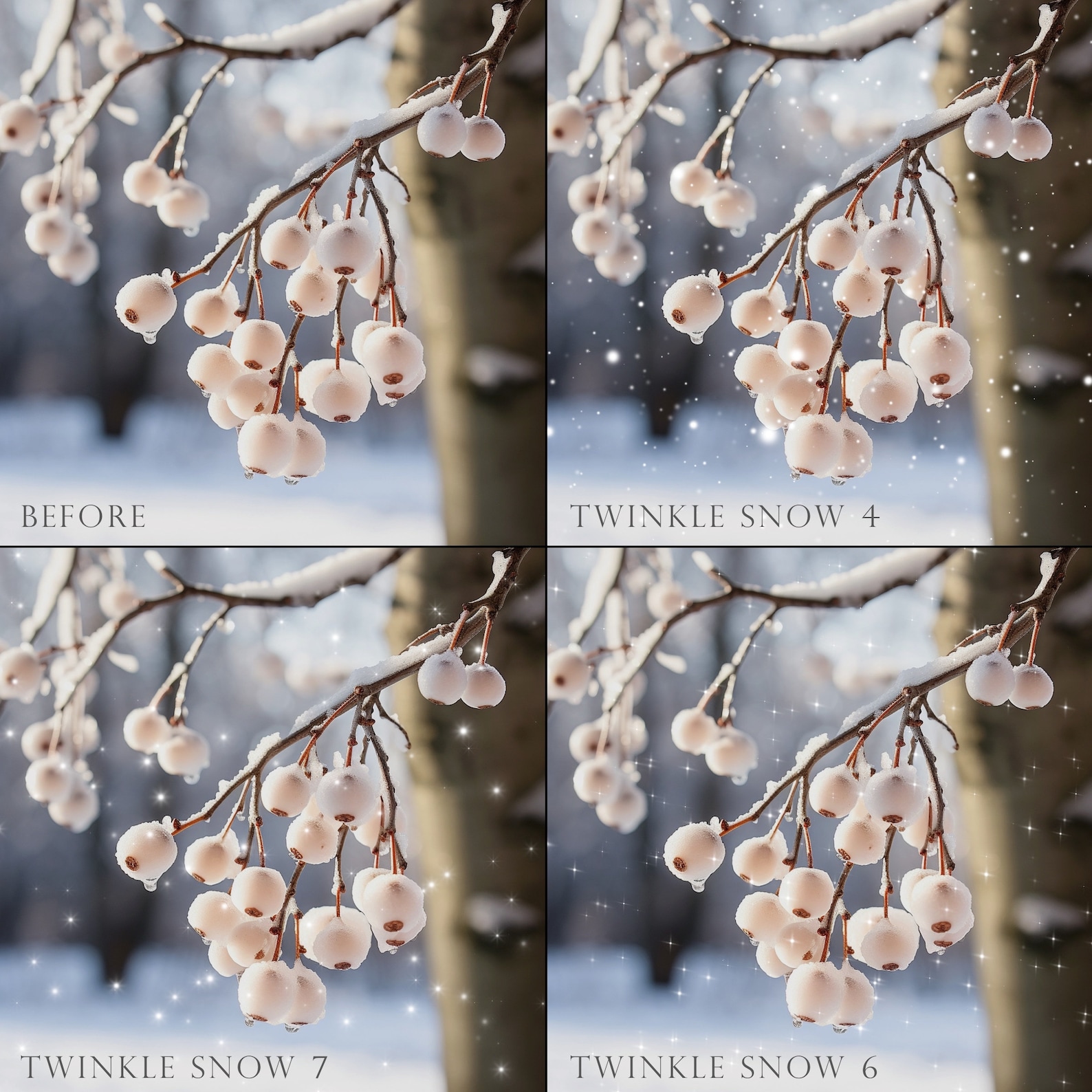 Twinkle Snow Overlays, Sparkle Snow Overlays, Falling Snow Overlays ...