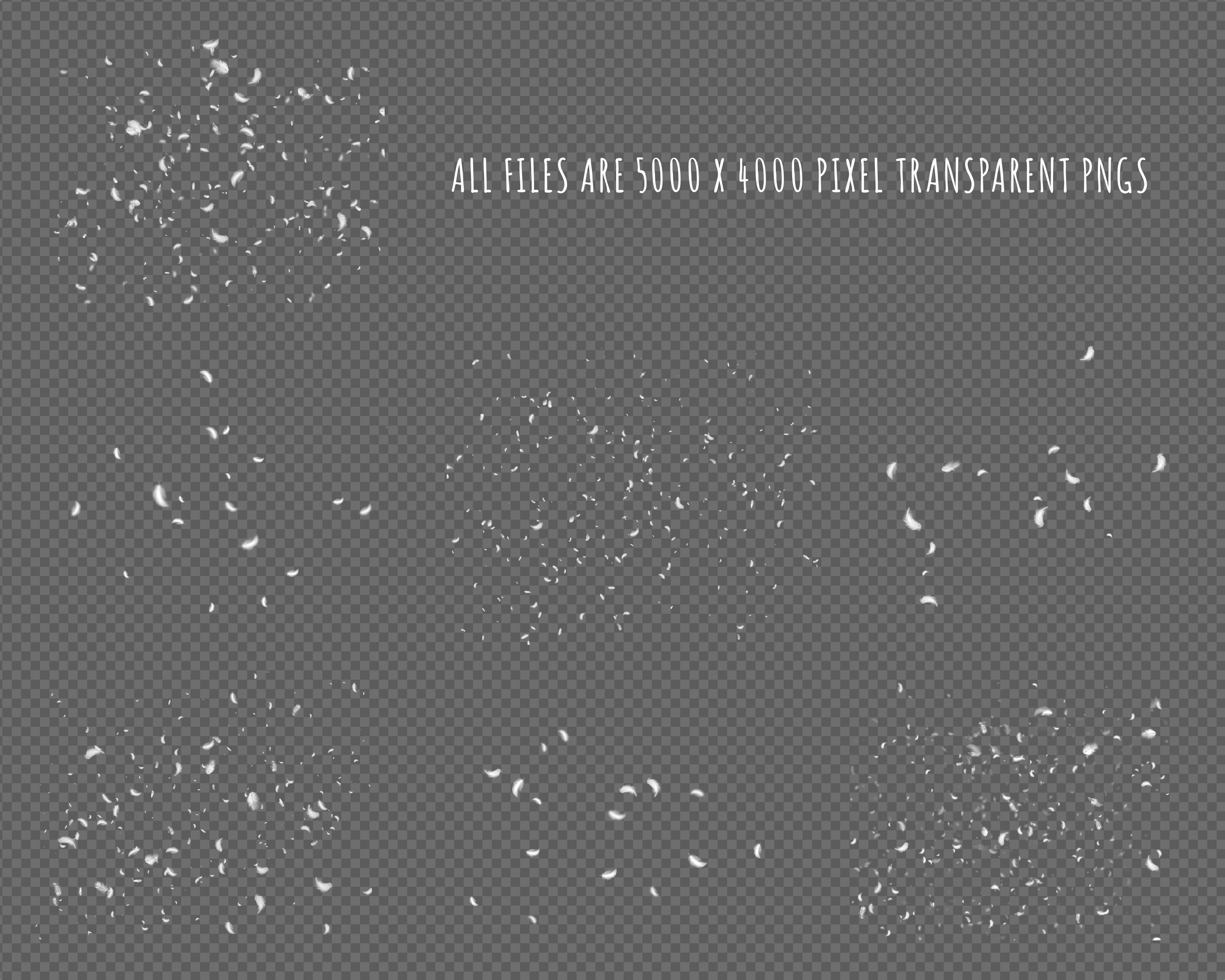 Falling Feather Overlays, Floating Feathers, Feathers, Pillow Fight ...