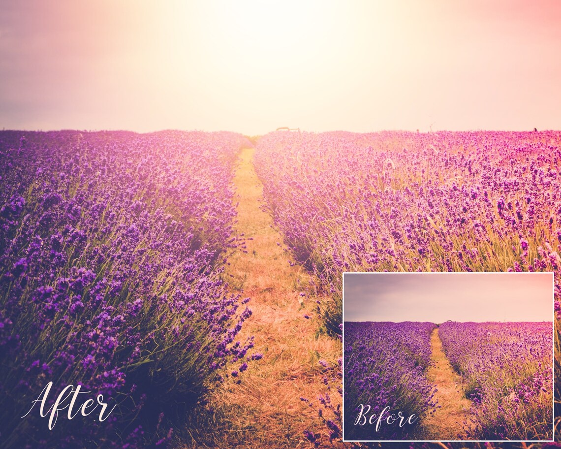 Sunlight overlays photoshop overlays sun ray overlays | Etsy