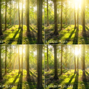 Photoshop Overlays, Sunlight Overlays, Sunshine Overlays, Sun, Sunny ...