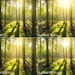 Photoshop Overlays, Sunlight Overlays, Sunshine Overlays, Sun, Sunny ...