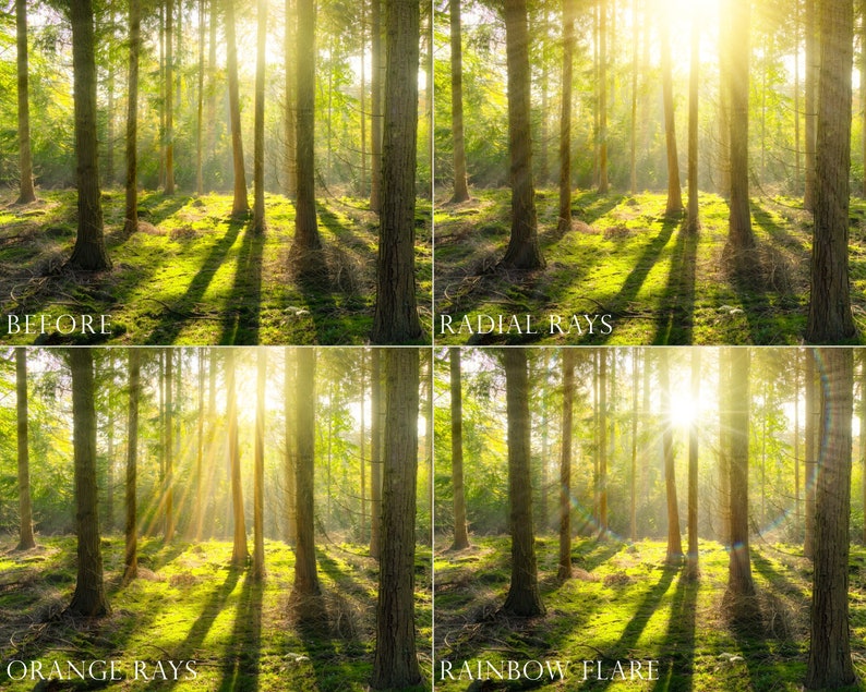 Photoshop Overlays, Sunlight Overlays, Sunshine Overlays, Sun, Sunny ...