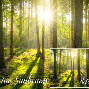 Radiant Light, Overlays, Sunlight Overlays, Light Rays, Sunny, Rays ...