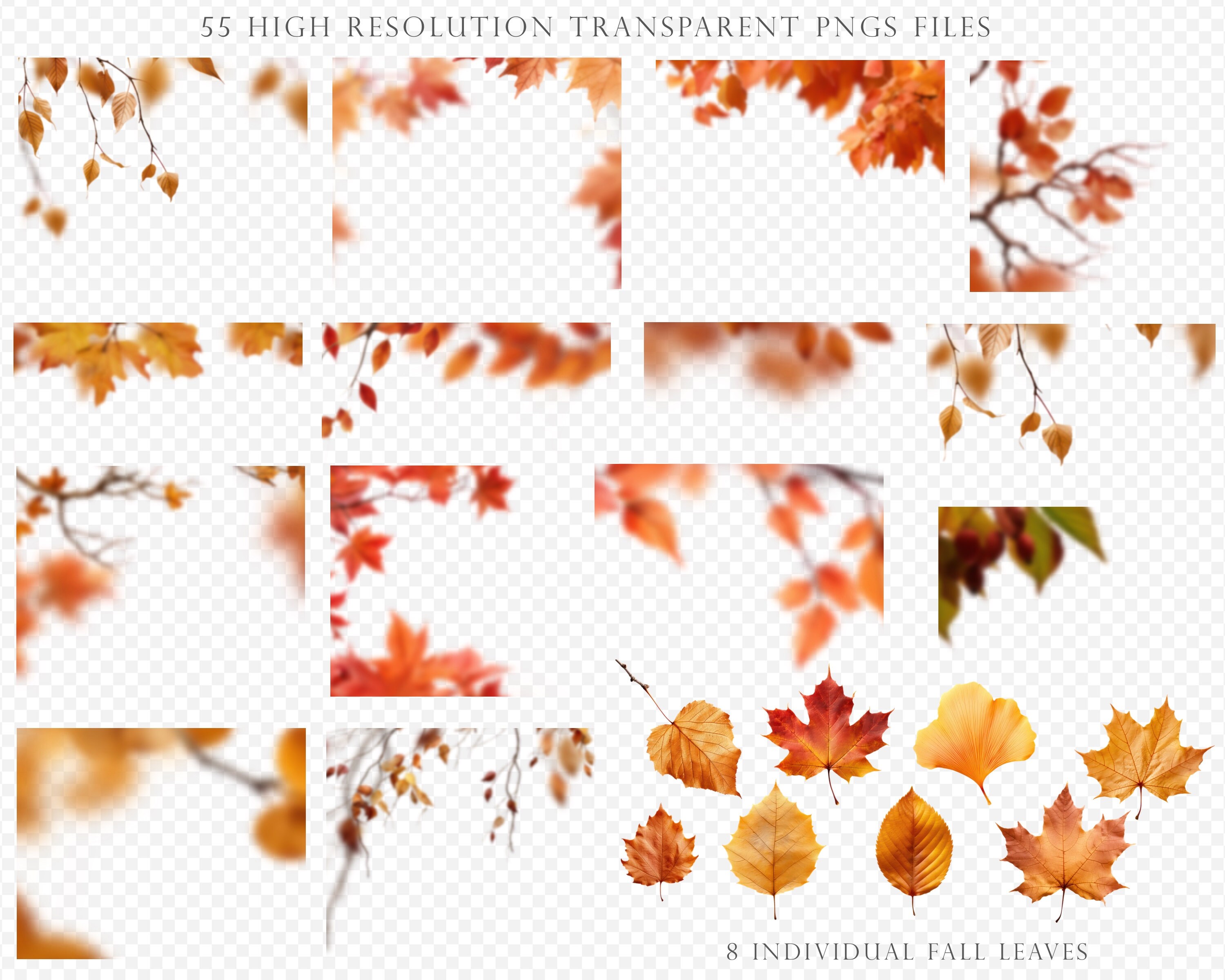 Fall Branch Overlays, Autumn Branch Overlays, Fall Branch Overlay, Fall ...