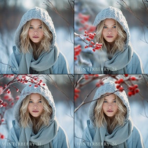 Winter Overlays, Christmas Overlays, Winterberry Overlay, Winter ...