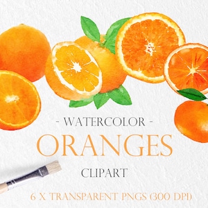 Watercolor Oranges Clipart, Food, Citrus, Fruits, Oranges, Clipart ...
