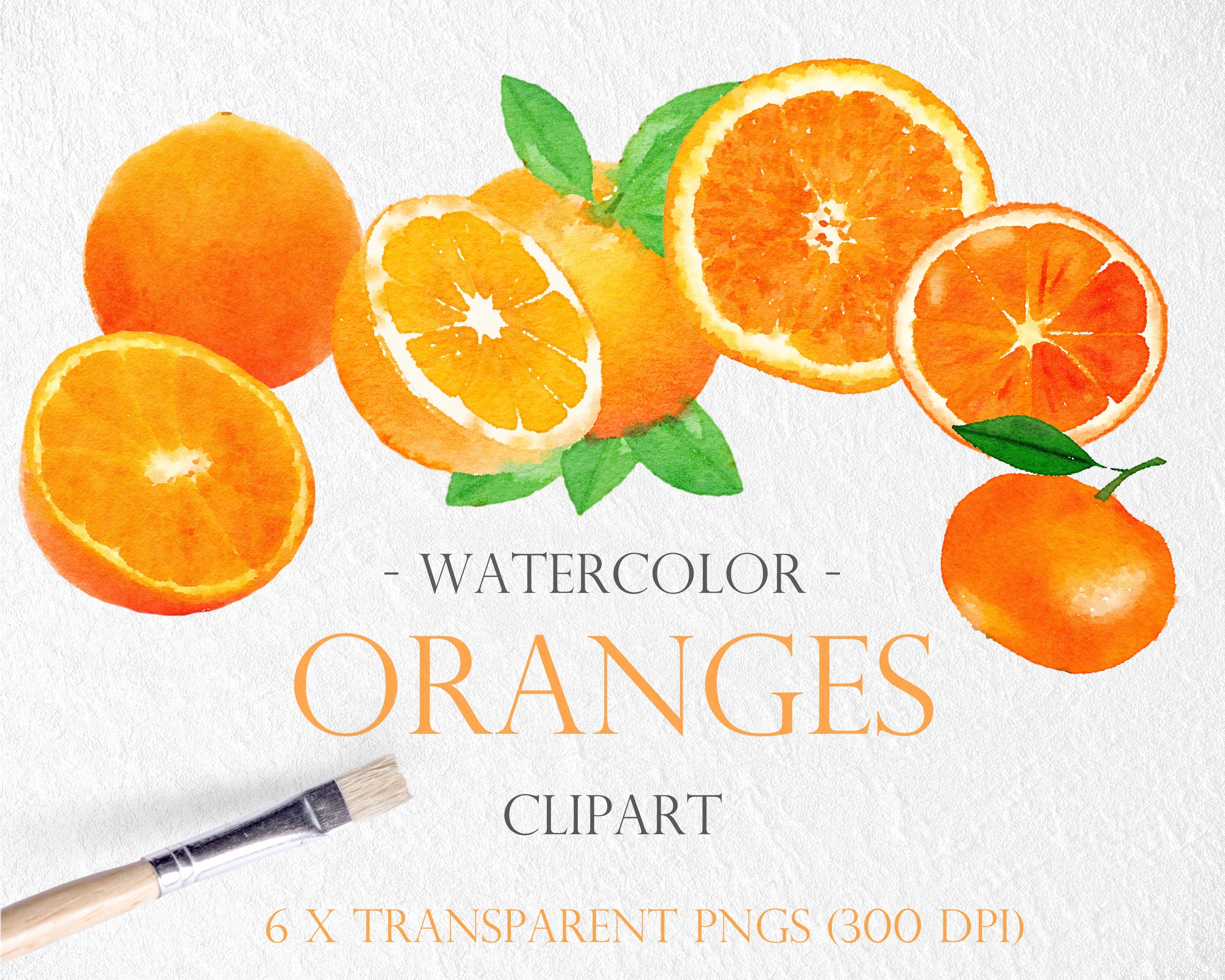 Watercolor Oranges Clipart Food Citrus Fruits Oranges | Etsy