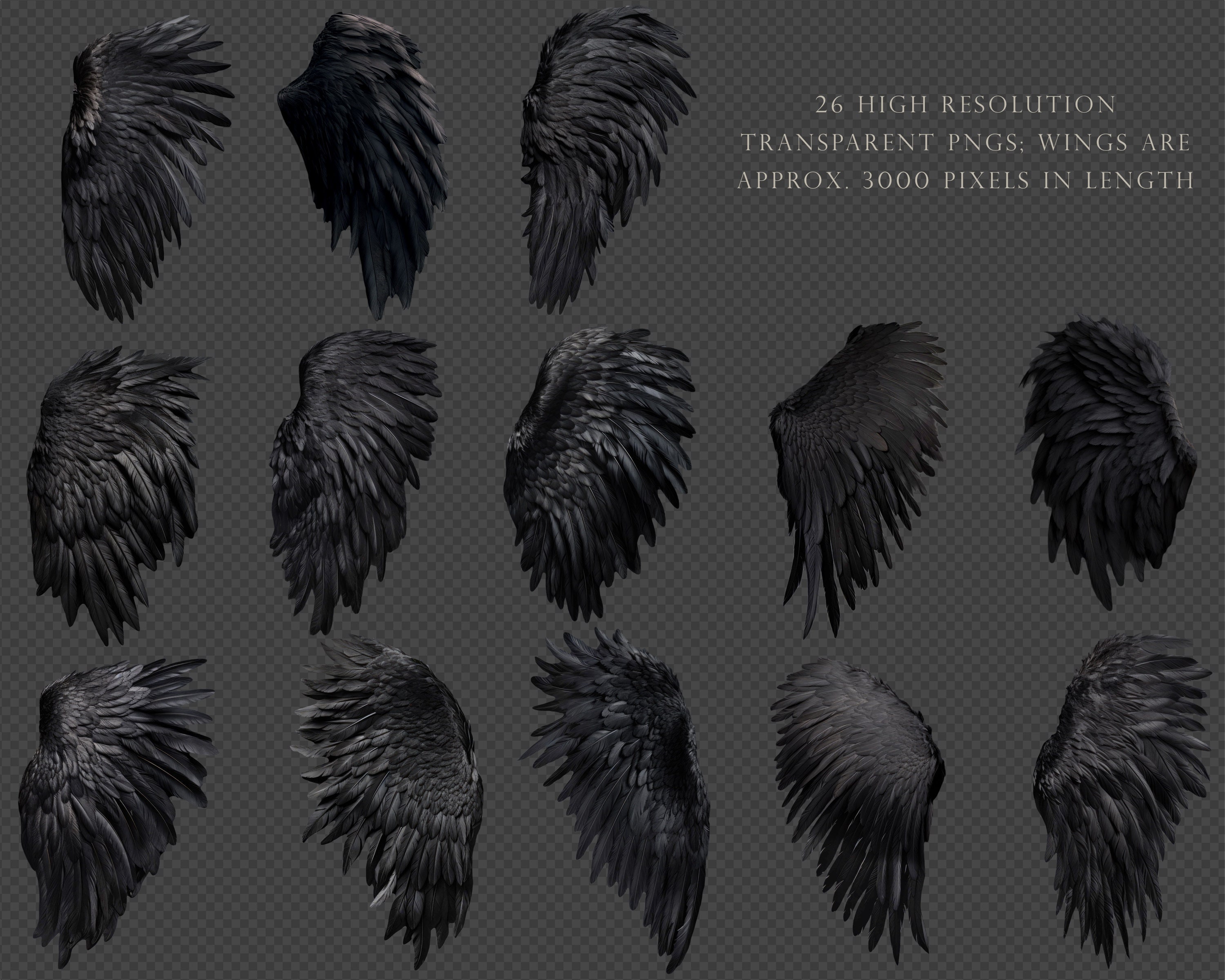Black Angel Wings Transparent