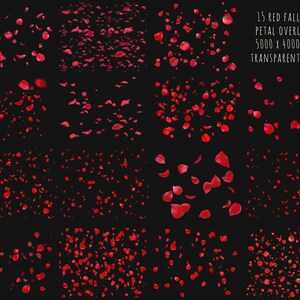Rose Petal Overlays, Valentine Overlays, Photoshop Overlays, Falling ...