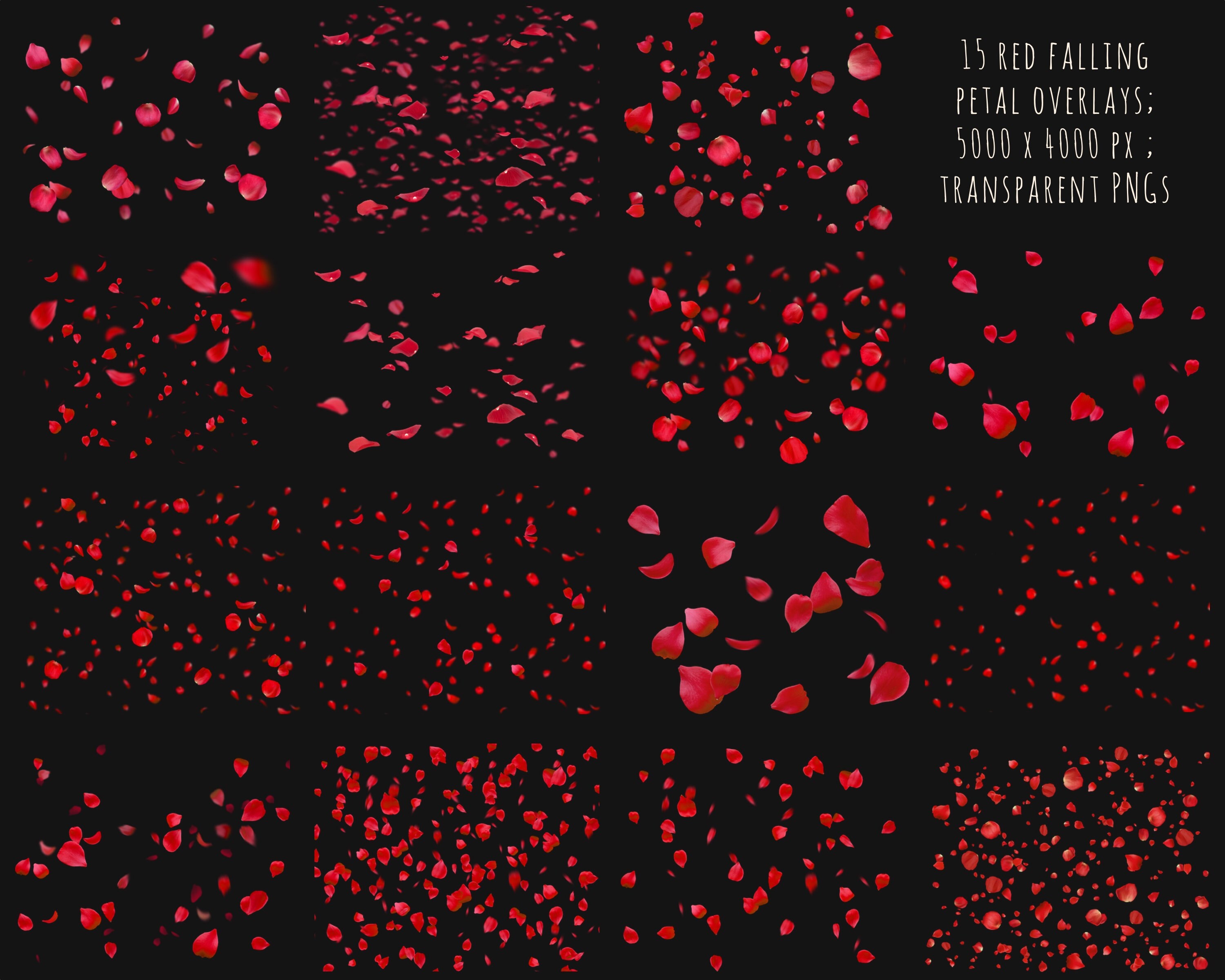 Rose Petal Overlays Valentine Overlays Photoshop Overlays - Etsy