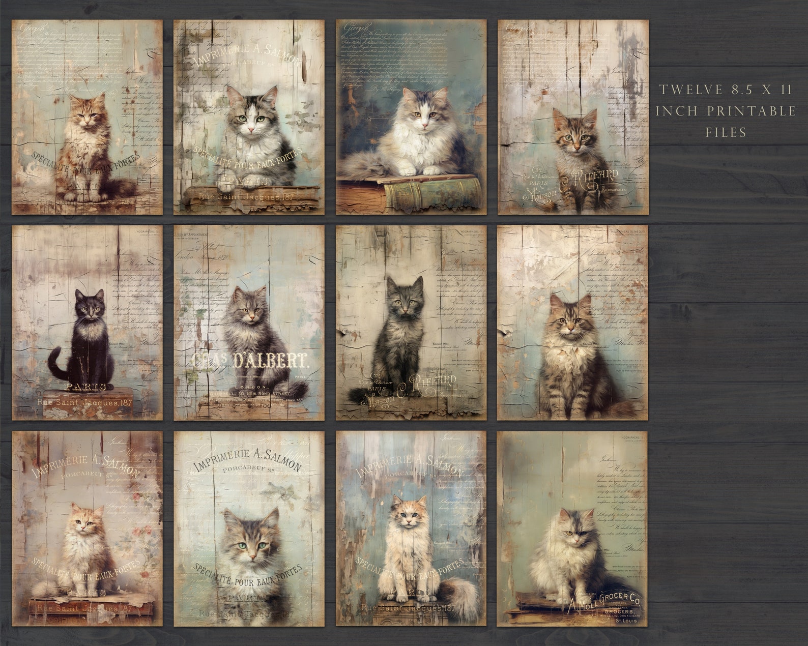 Cats Junk Journal, Vintage Cats, Cat Journal Page, Cat Ephemera ...