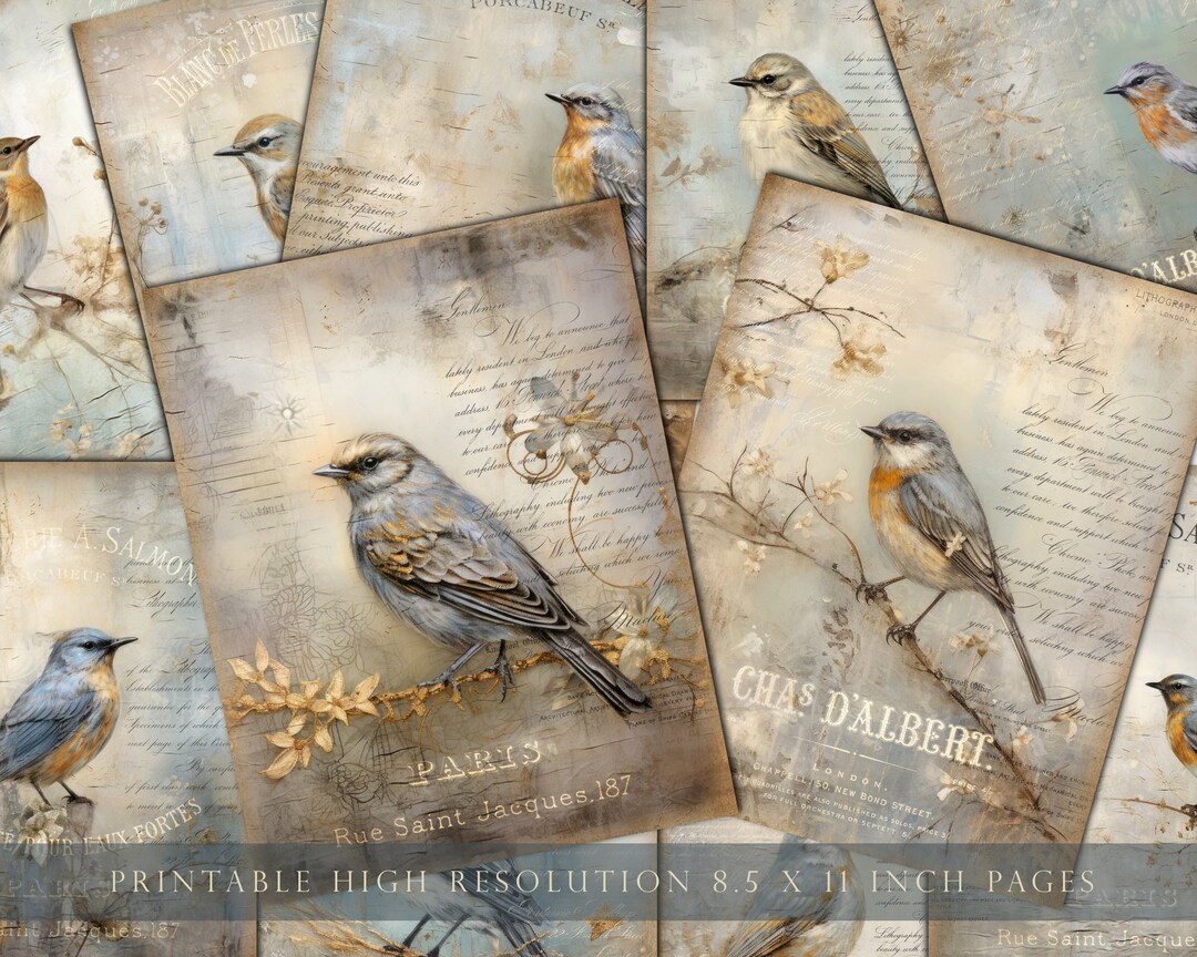 Vintage Birds, Junk Journal Sheets, 8.5 X 11, Printable, Digital Paper ...