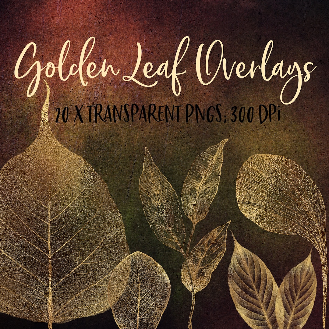 Gold Leaves Clipart, Golden Leaves Clipart, Leaf Veins, Leaf Skeletons ...