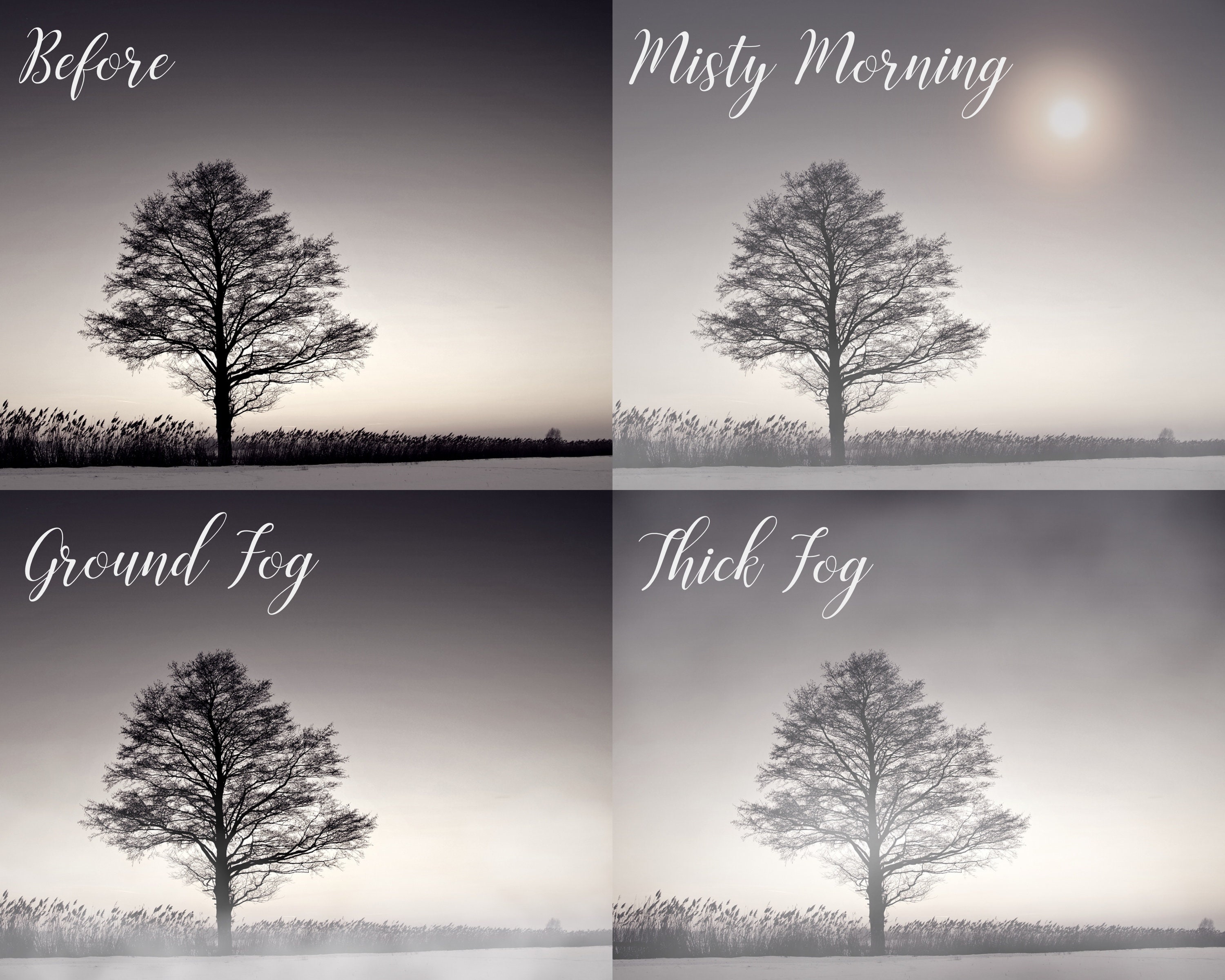Fog Overlays, Fog, Photoshop Overlays, Mist Overlays, Smoke, Foggy ...