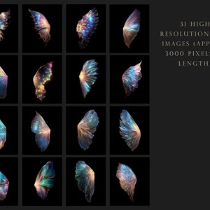 Iridescent Wing Overlays, Fairy Wings, Overlays, Angel Wings, Gold ...