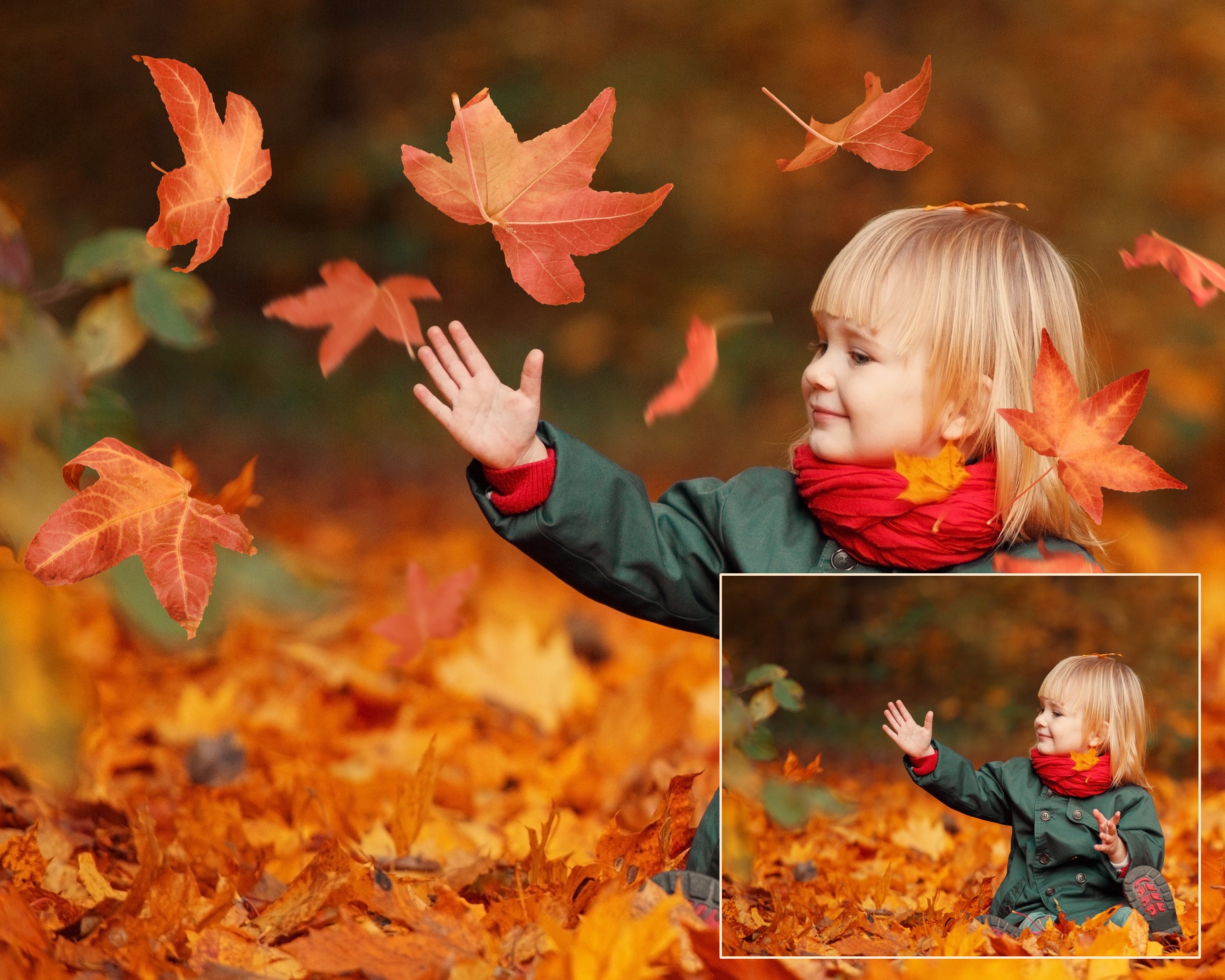 Falling leaves overlay falling leaf overlays fall leaves | Etsy