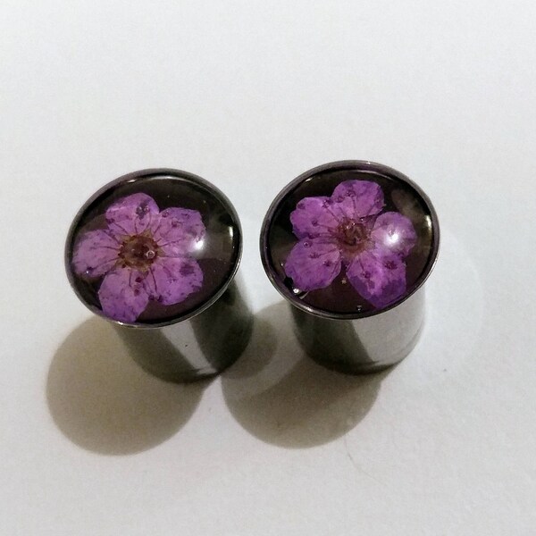 00g Plugs - Etsy